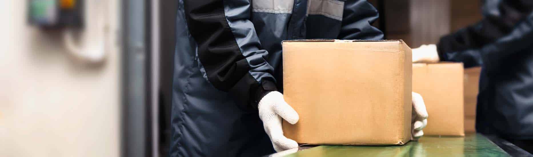 Fine Arts, Gallery, & Museum Logistics – CNS Logistics